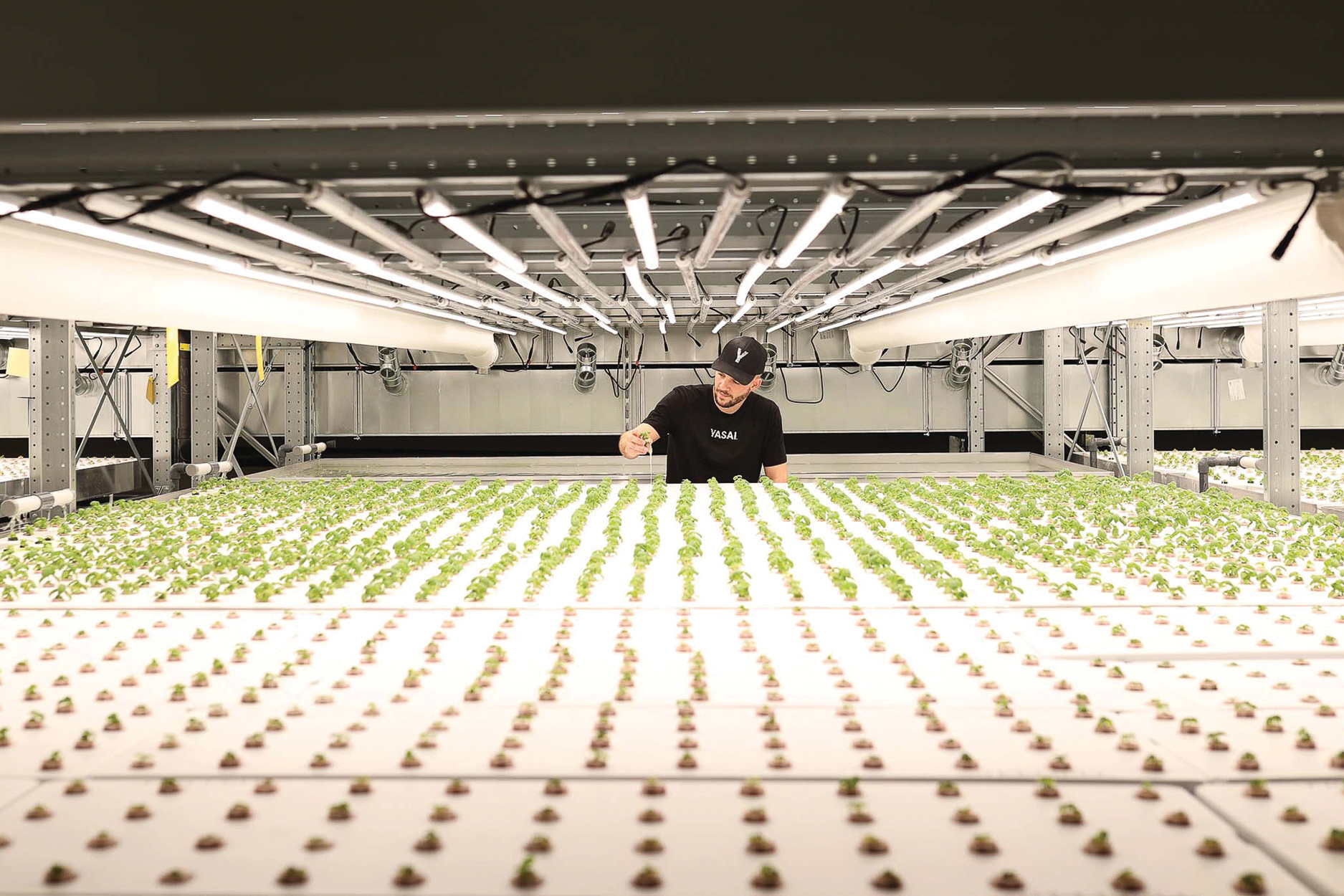 30 ans de fenaco – 30 temps forts | fenaco