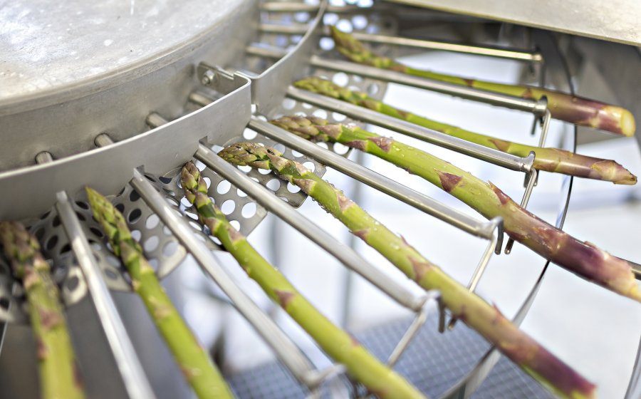 Schweizer Grünspargeln seit 40 Jahren | fenaco