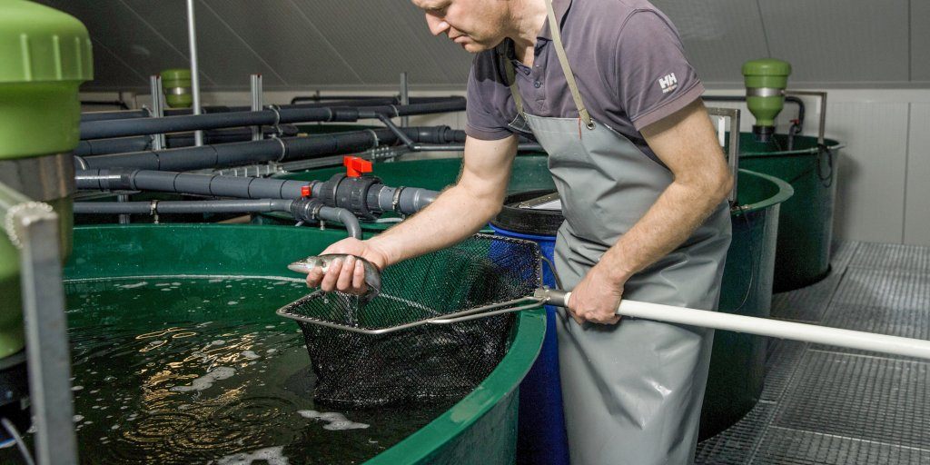 La pisciculture d’intérieur en entreprise agricole pas toujours ...