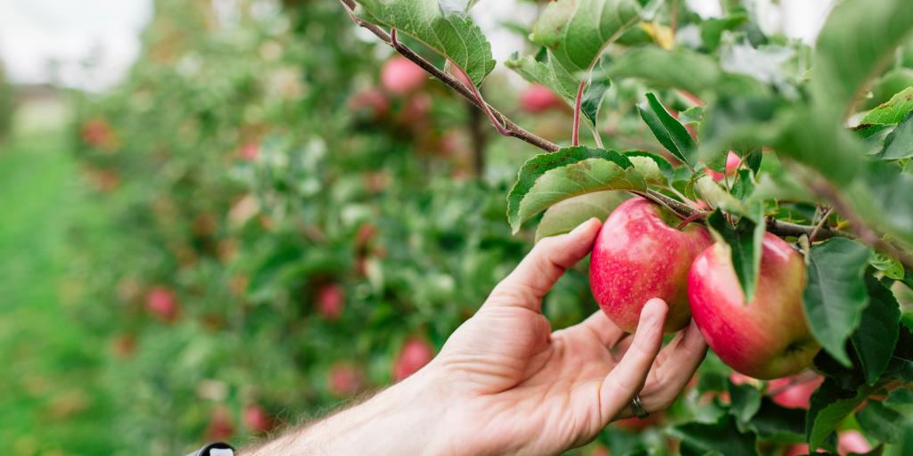 fenaco profiliert sich mit ihrem ganzheitlichen Nachhaltigkeitsbericht ...