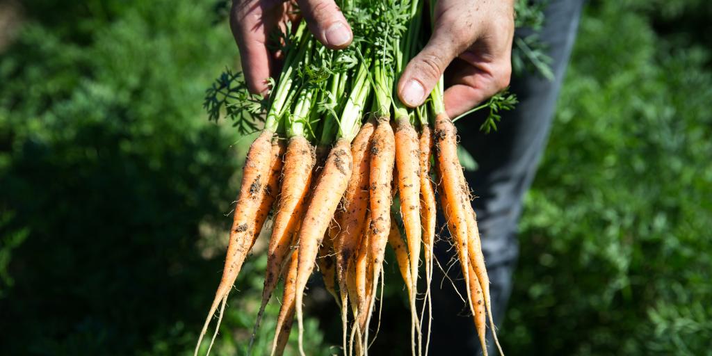 Soil and nutrition | fenaco