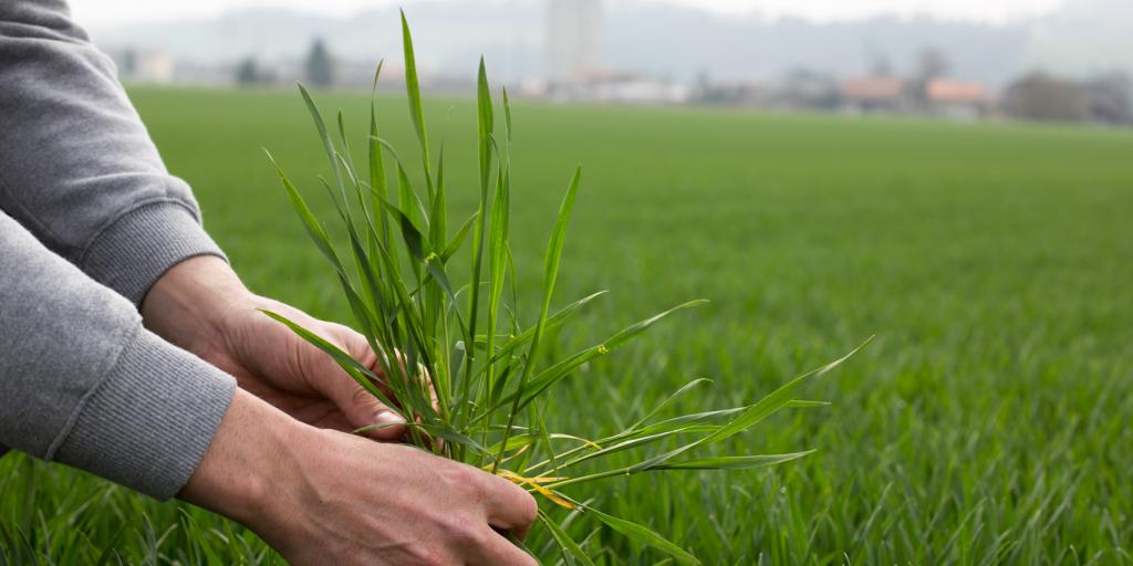 David Käser wird Mitglied der Geschäftsleitung der fenaco | fenaco