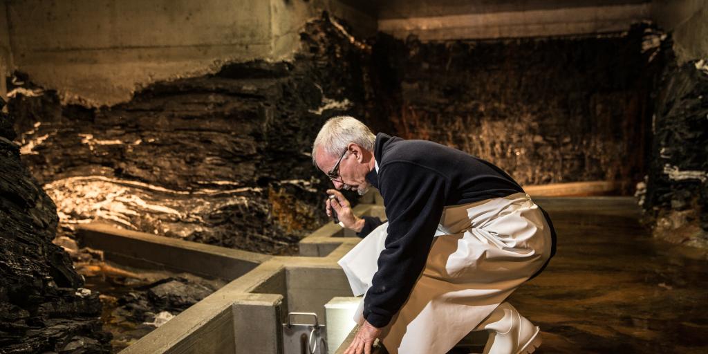 Interessante Weiterbildungsoptionen | fenaco